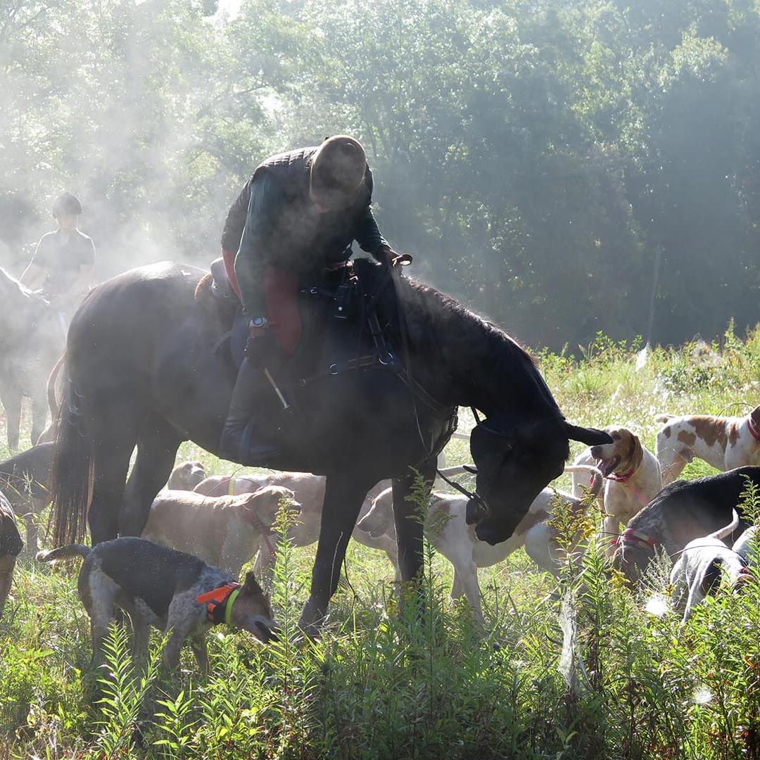 Home page - Camargo Hunt