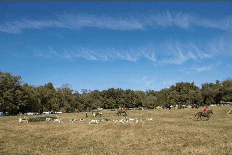 84th Annual Camargo Hunter Trials - Camargo Hunt